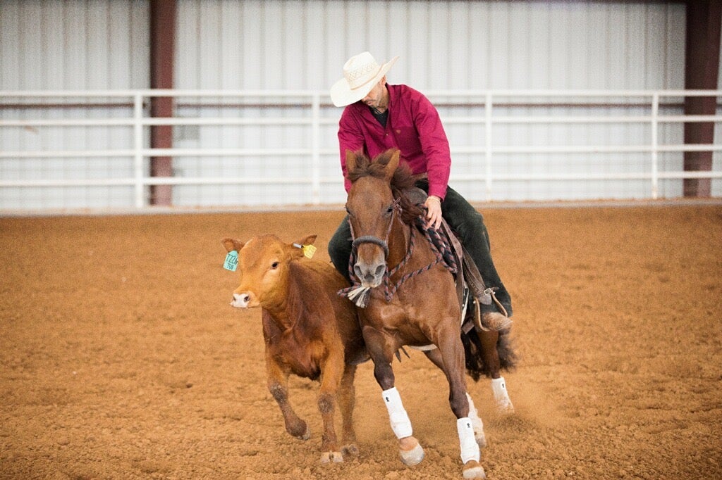 Rush Performance Horses | Rush Performance Horses