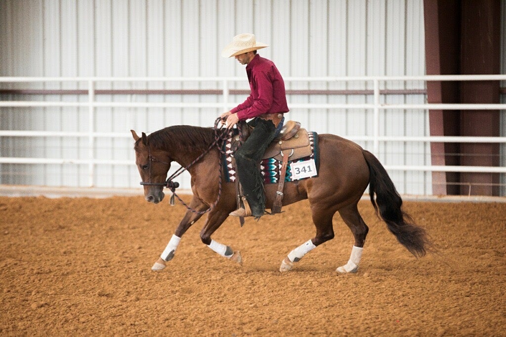 Rush Performance Horses | Rush Performance Horses