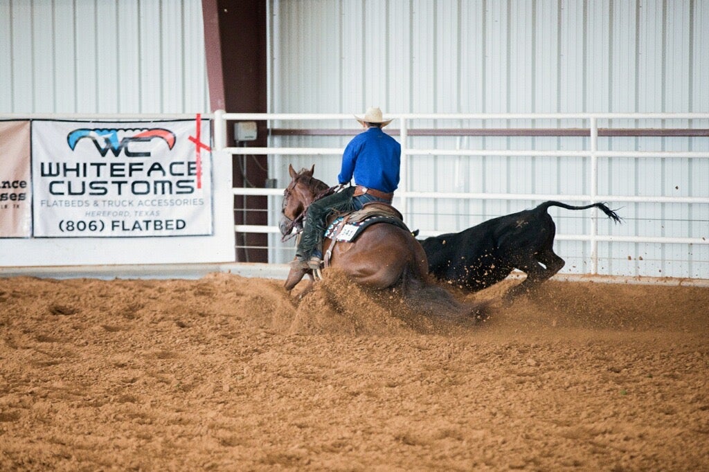 Rush Performance Horses | Rush Performance Horses