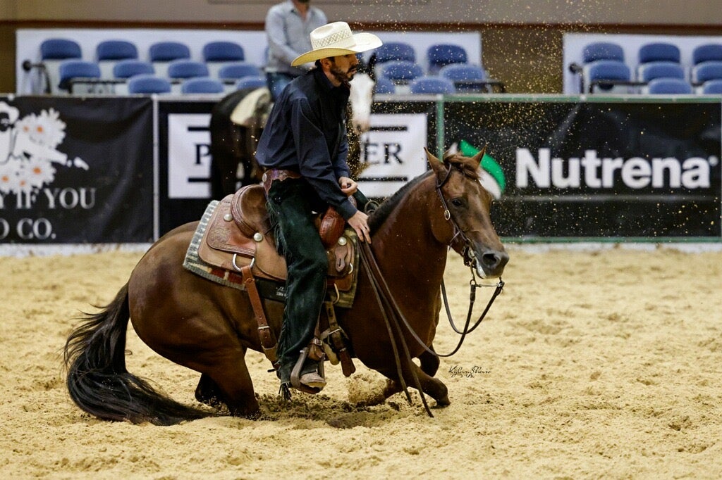 Rush Performance Horses | Rush Performance Horses