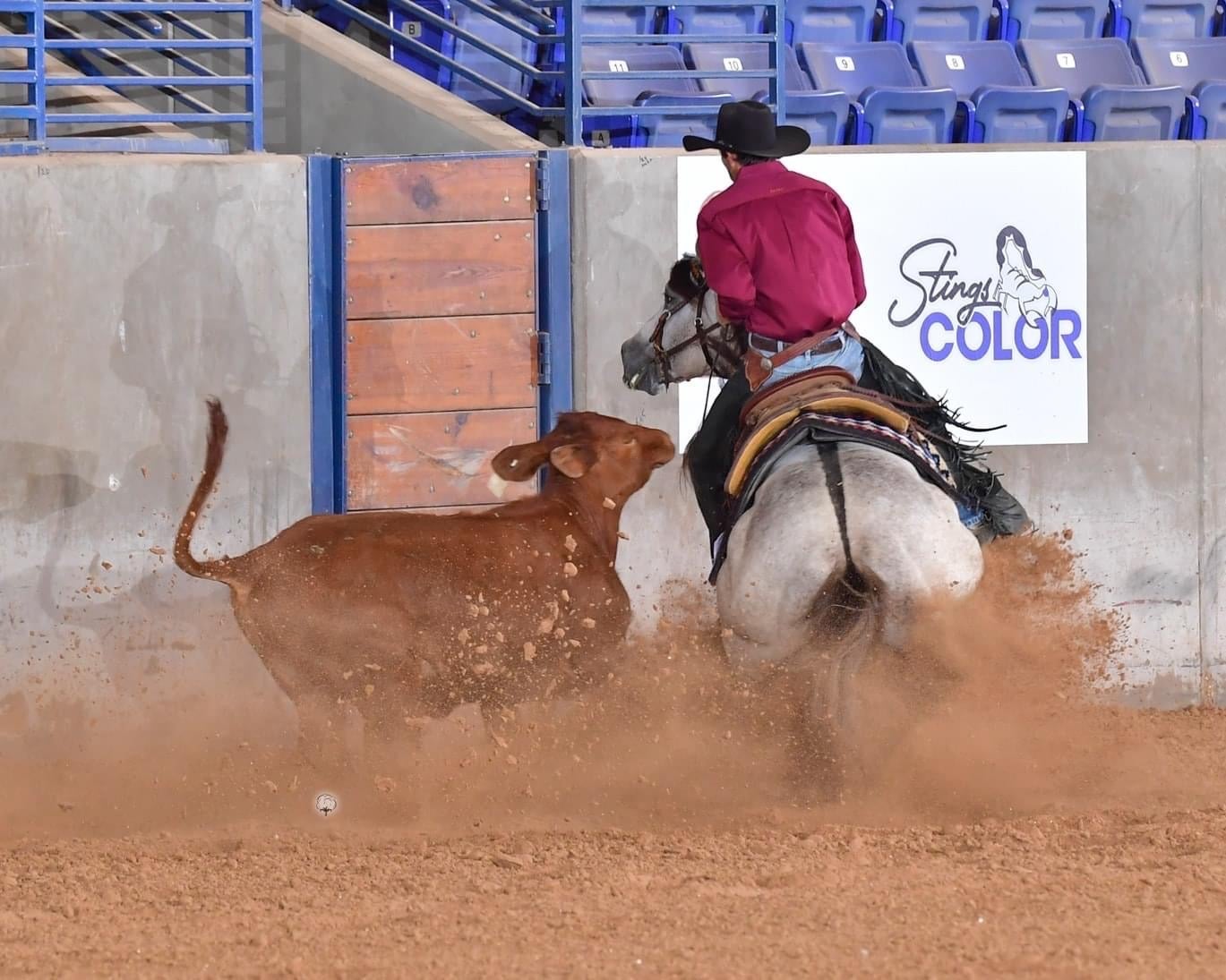 Rush Performance Horses | Rush Performance Horses