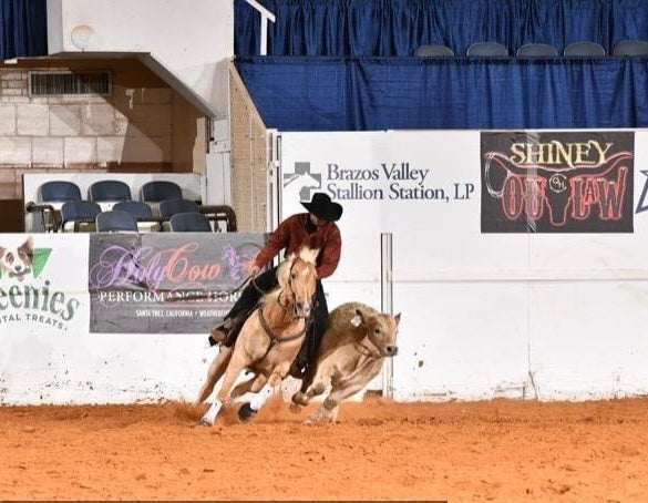 Rush Performance Horses | Rush Performance Horses