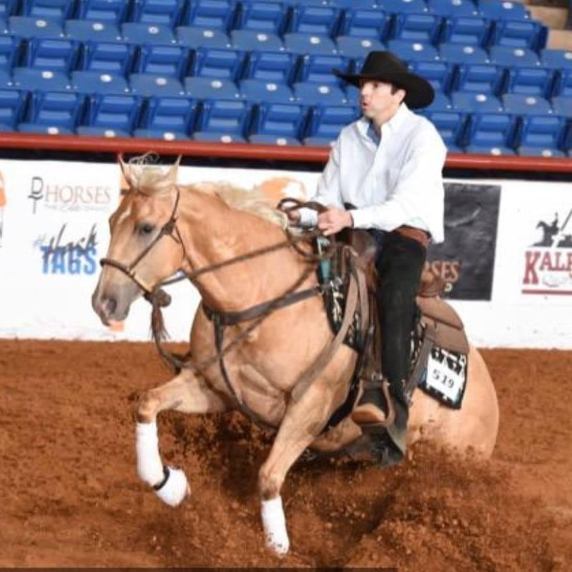 Rush Performance Horses | Rush Performance Horses