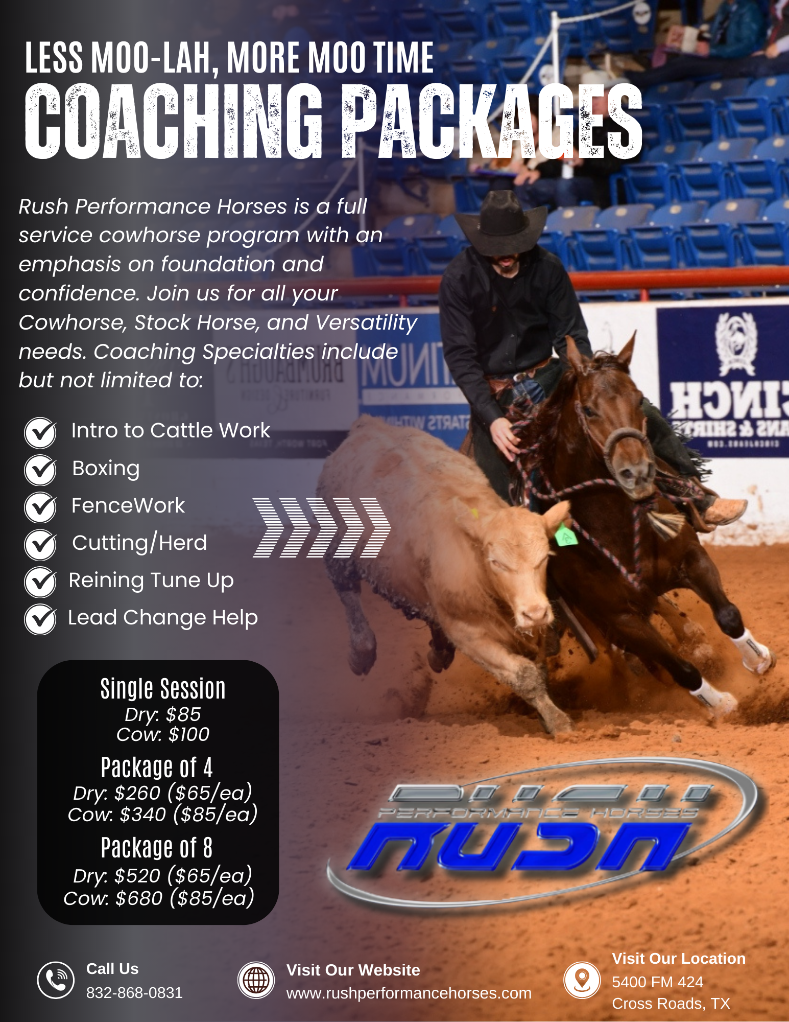 ProVision Probiotics Sale Horses Show Calendar Contact Us Coaching ...