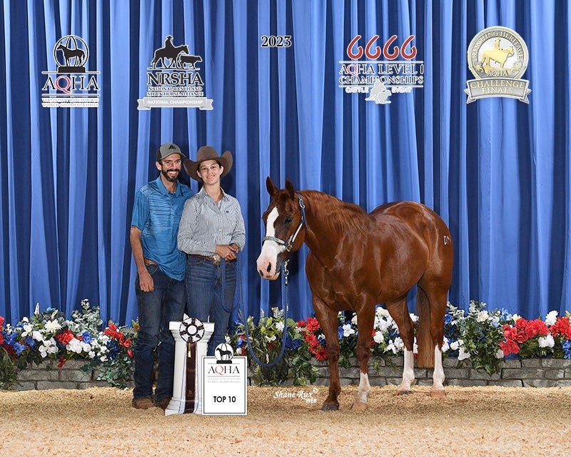 Rush Performance Horses | Rush Performance Horses