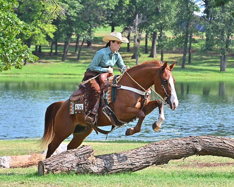 Rush Performance Horses | Rush Performance Horses